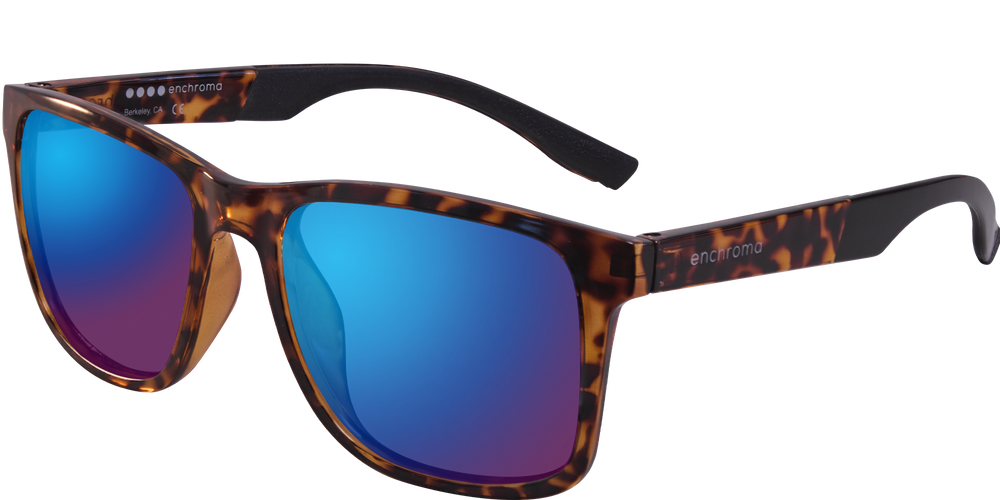 Tilden Outdoor Protan Color Blind Glasses | Versatility and Value