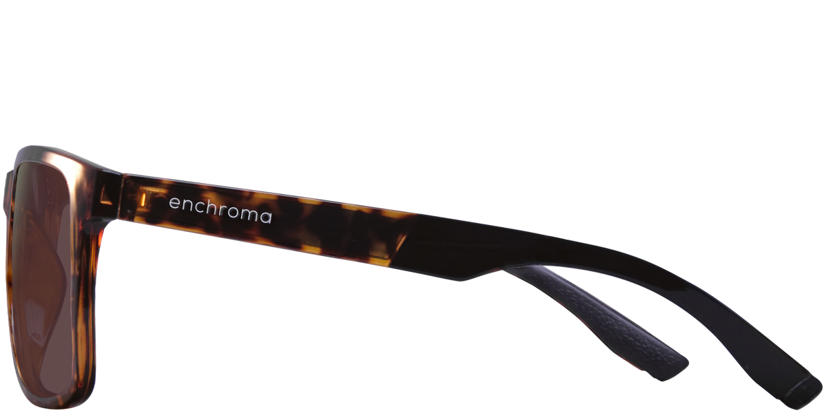 Tilden Polarised Protan Color Blind Glasses | Versatility and Value